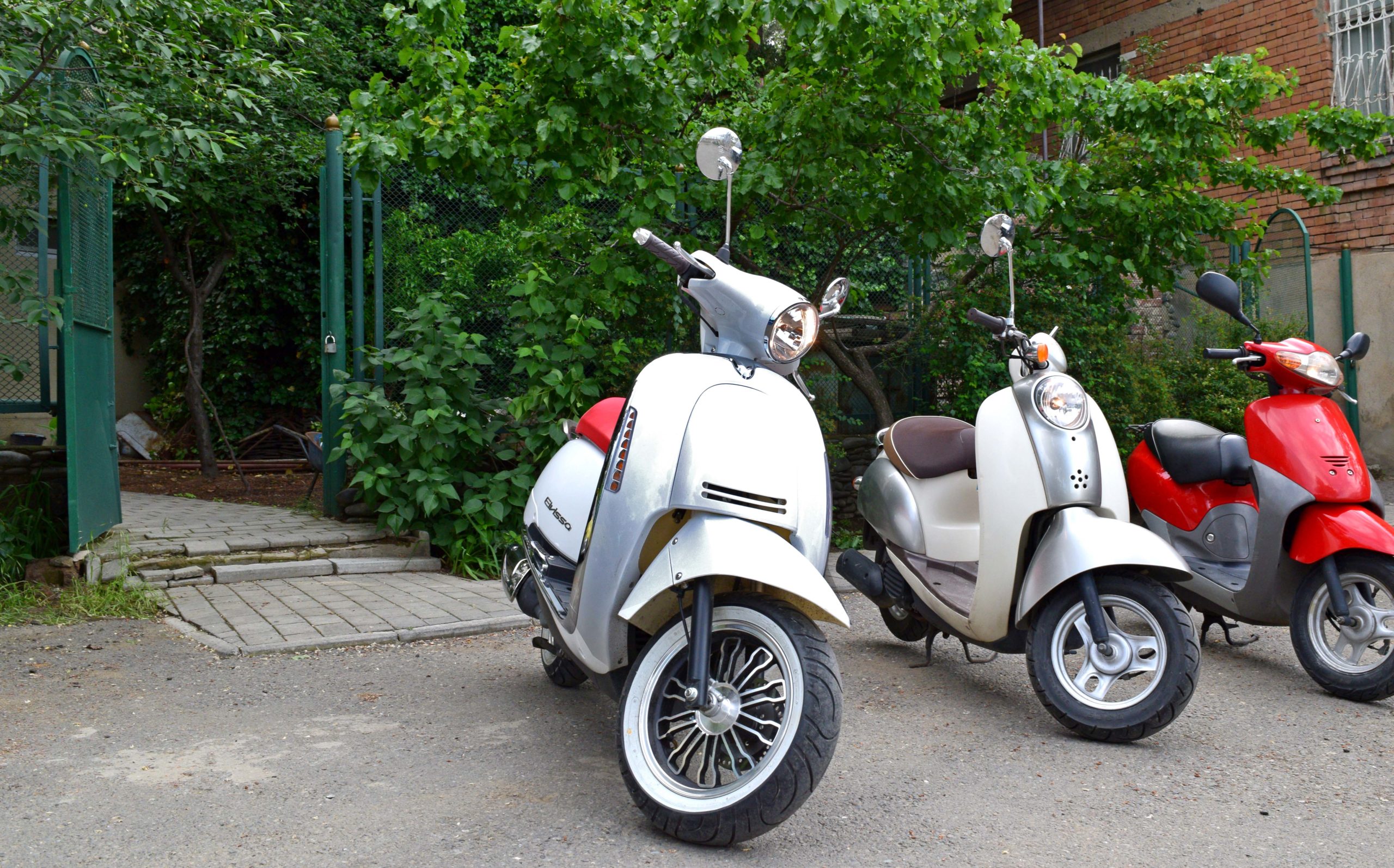 Scooter Rental Tbilisi Georgia Scooter Information